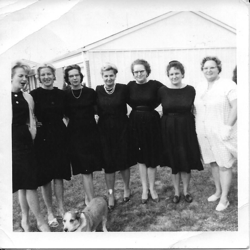 My Darling Clementine – Life Needs Art